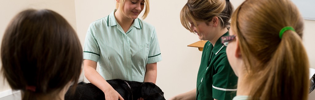 New Professional Level 5 Qualification for Clinical Coaches - CAW Blog