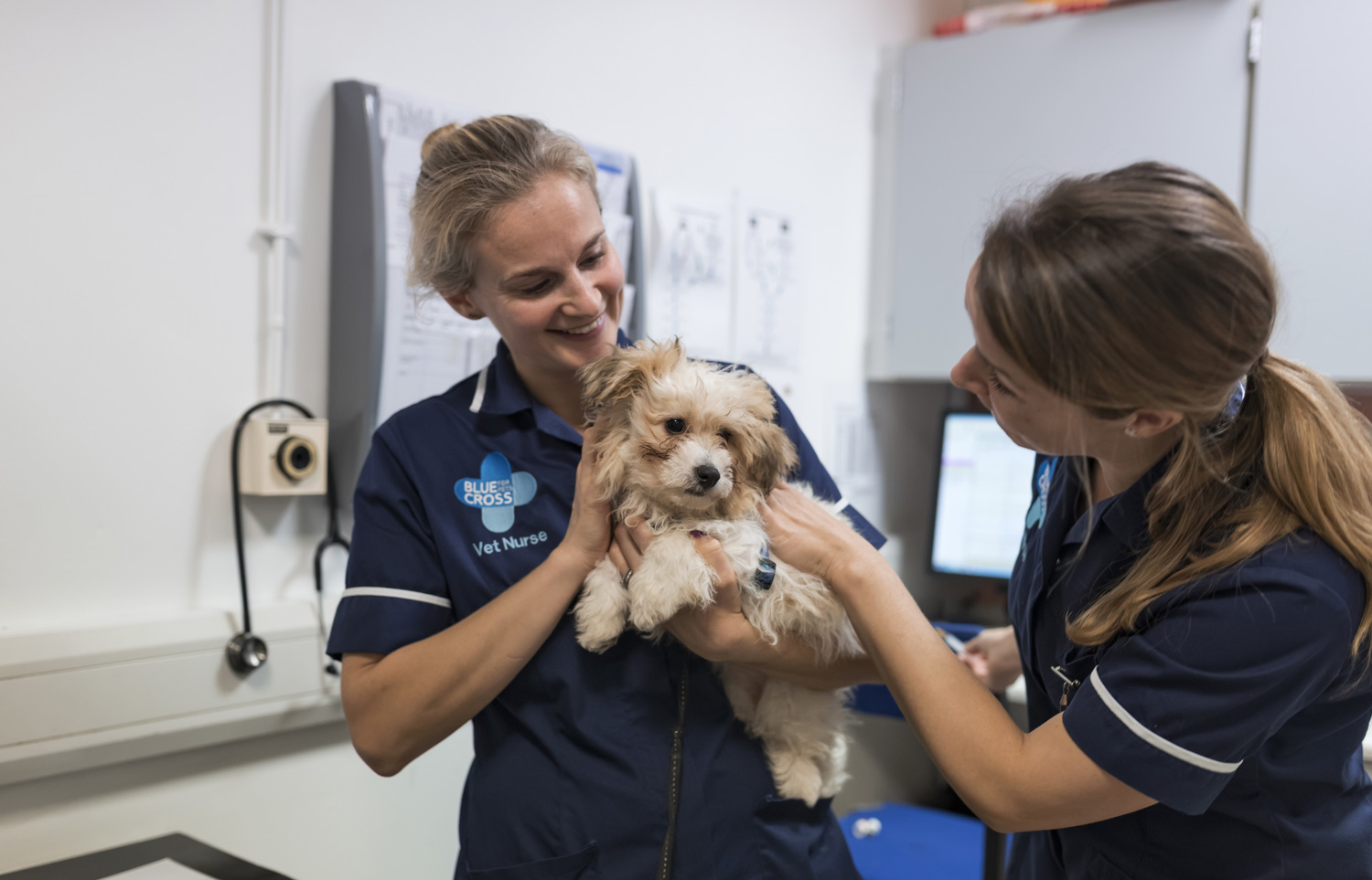 Do you know someone who deserves to be ‘Veterinary Nurse of the Year ...