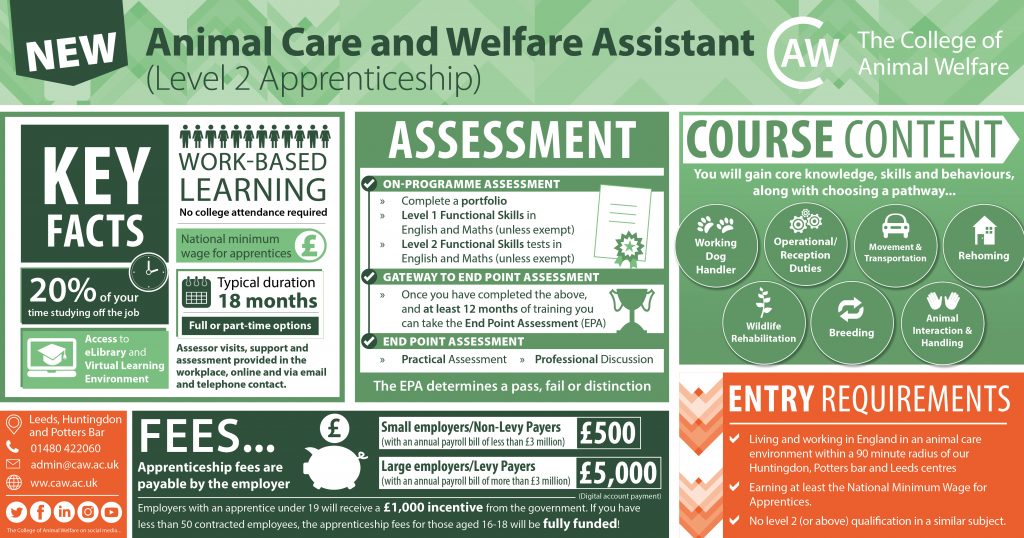 New Animal Care Standards Infographic - CAW Blog