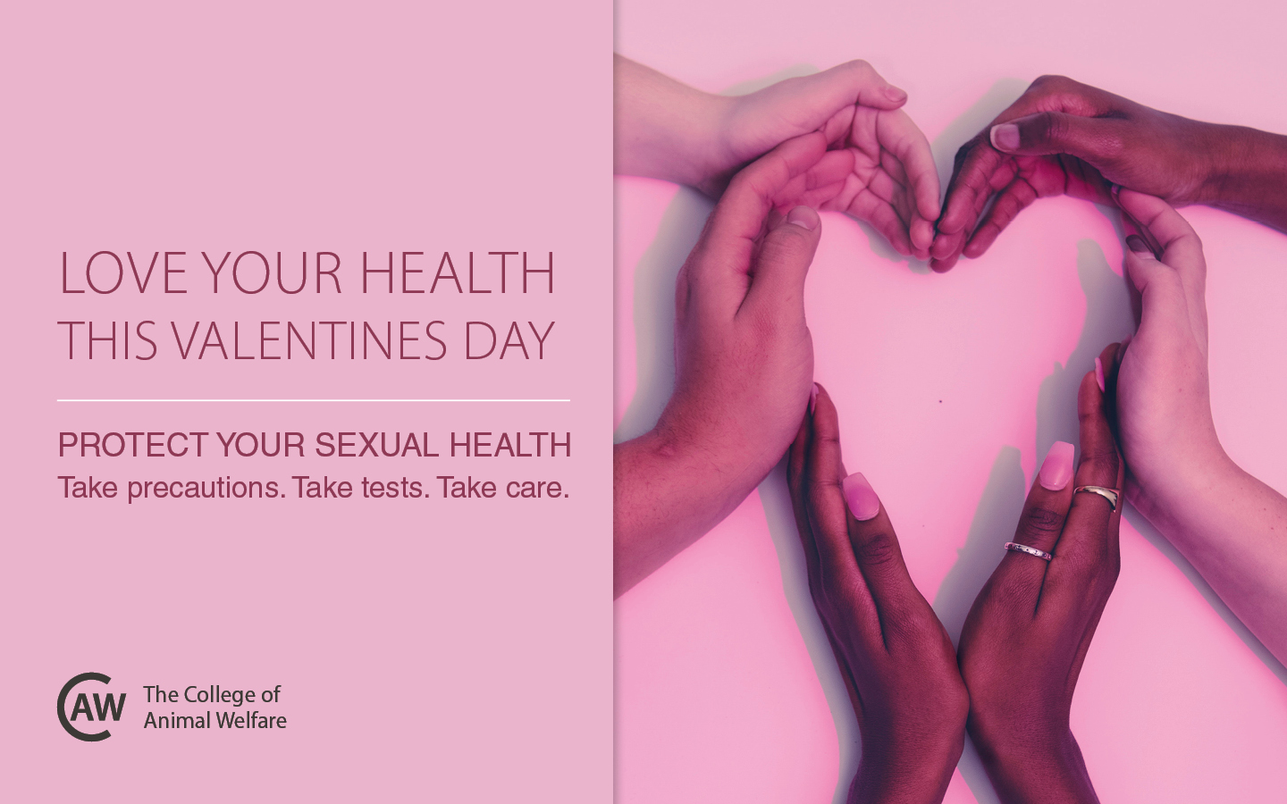 Love Your Sexual Health This Valentines Day Caw Blog