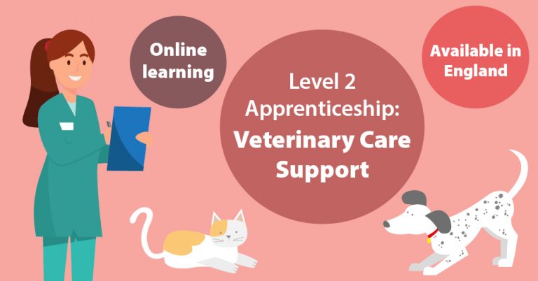 Grow a loyal veterinary care support professional that meets the needs ...
