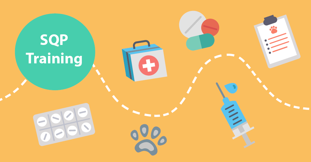 Training as an SQP: FAQs - CAW Blog