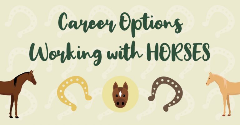 5 Career Options Working with Horses - CAW Blog