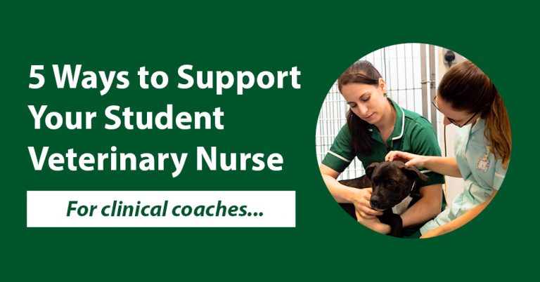 5 Ways to Support Your Student Veterinary Nurse - CAW Blog