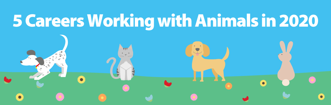5 Careers Working with Animals in 2020 - CAW Blog