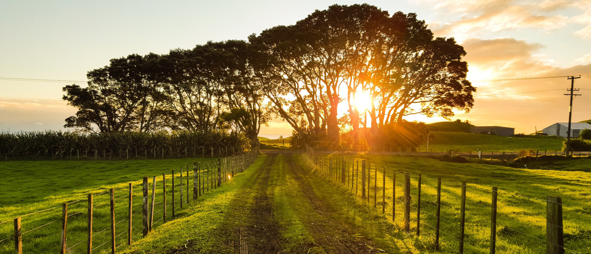 Countryside ranger resized - CAW Blog