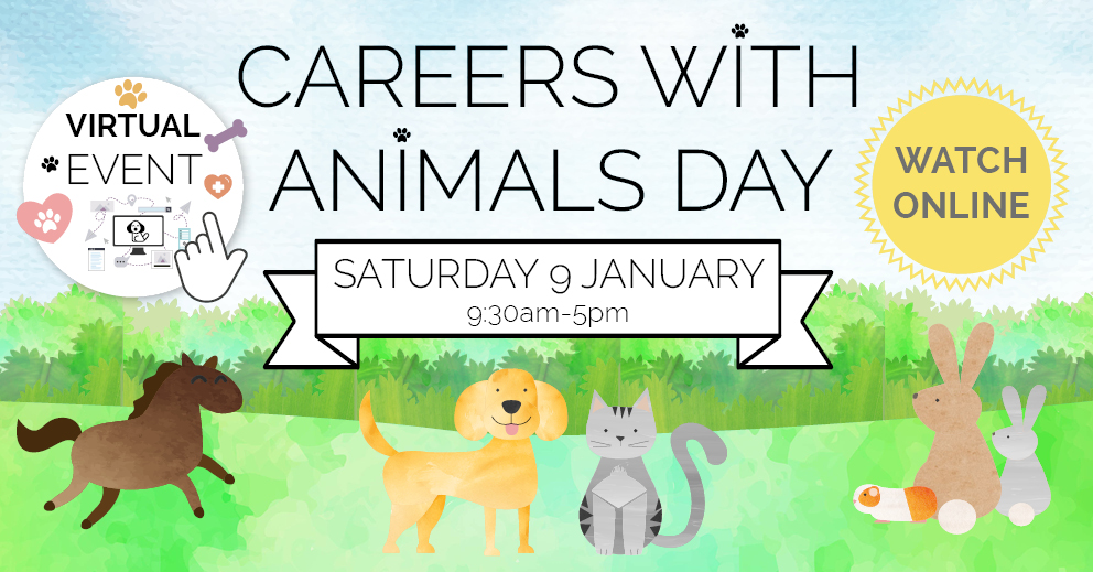 Careers With Animals Day is going VIRTUAL! - CAW Blog Careers With Animals Day is going VIRTUAL! - CAW Blog