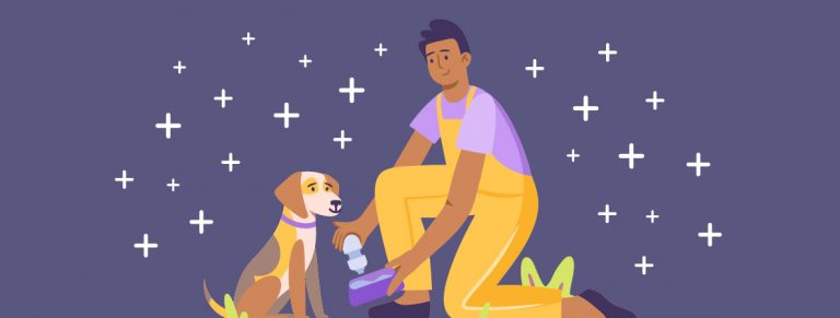 Everything You Need to Know About Animal Apprenticeships - CAW Blog