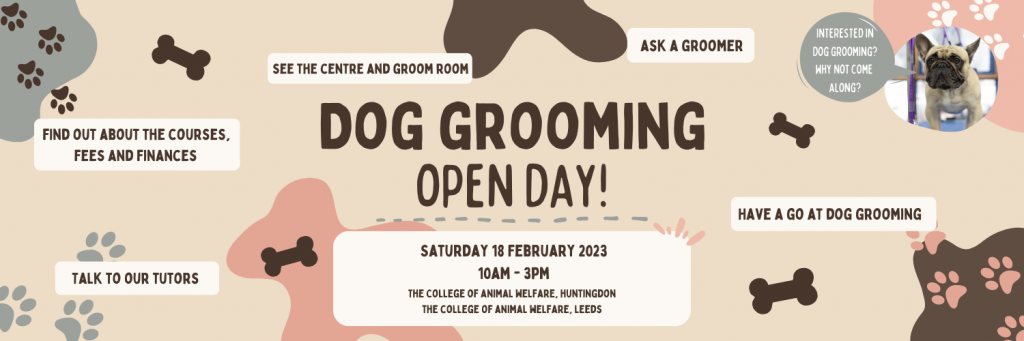 New for 2023: Dog Grooming Open Day! - CAW Blog