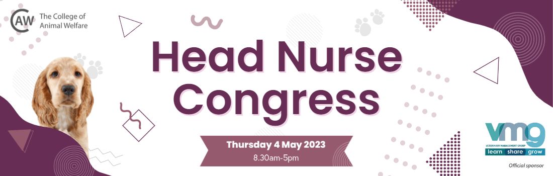 Head Nurse Congress Returns for 2023! - CAW Blog